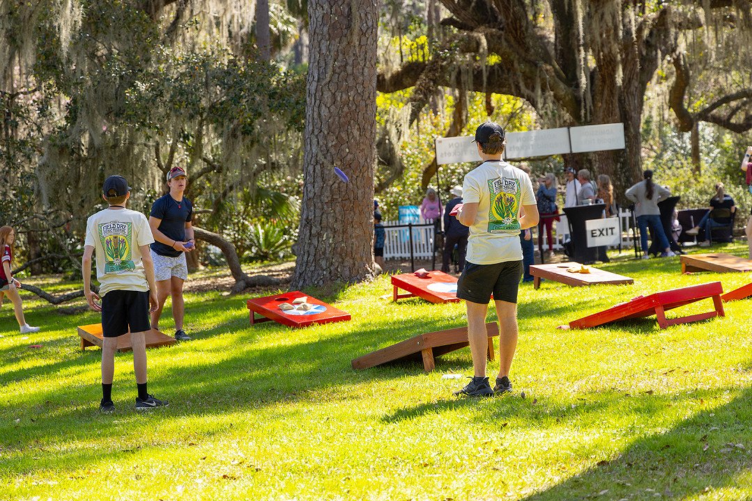 Field Day Music Festival