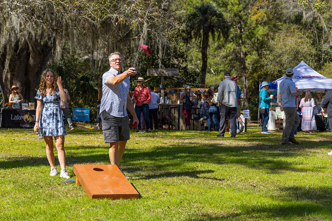 Field Day Music Festival