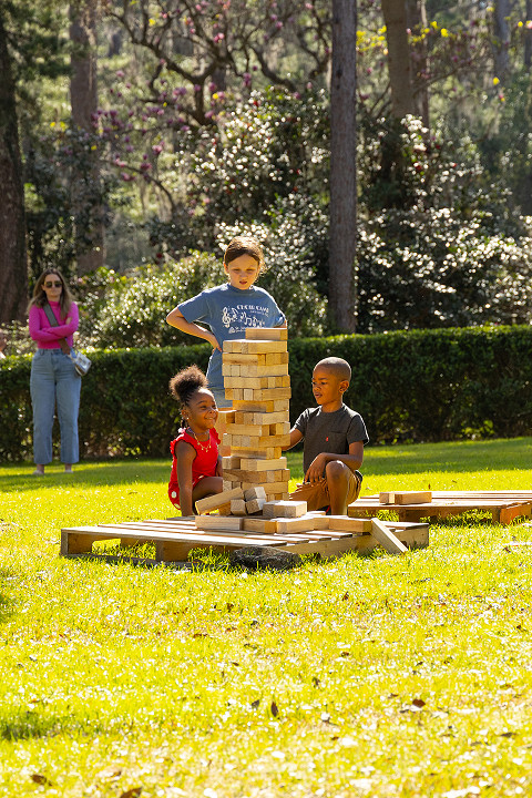 Field Day Music Festival