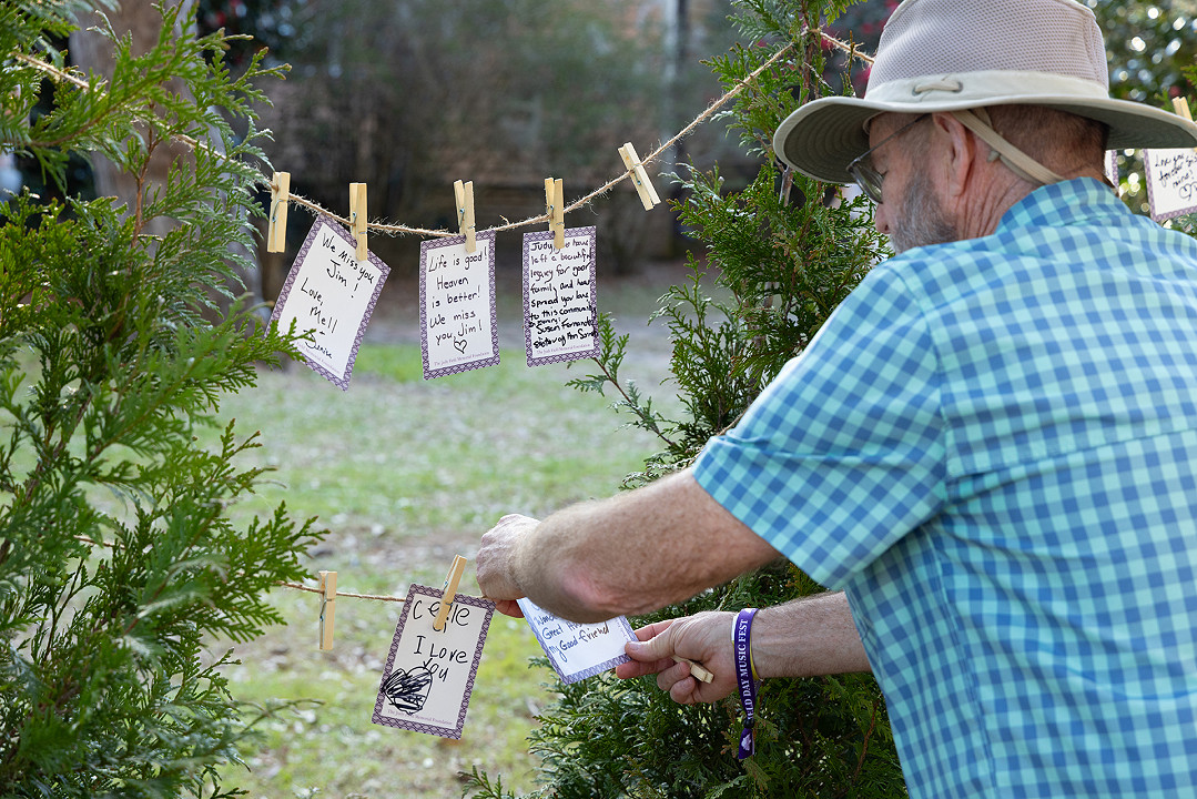 Field Day Music Festival